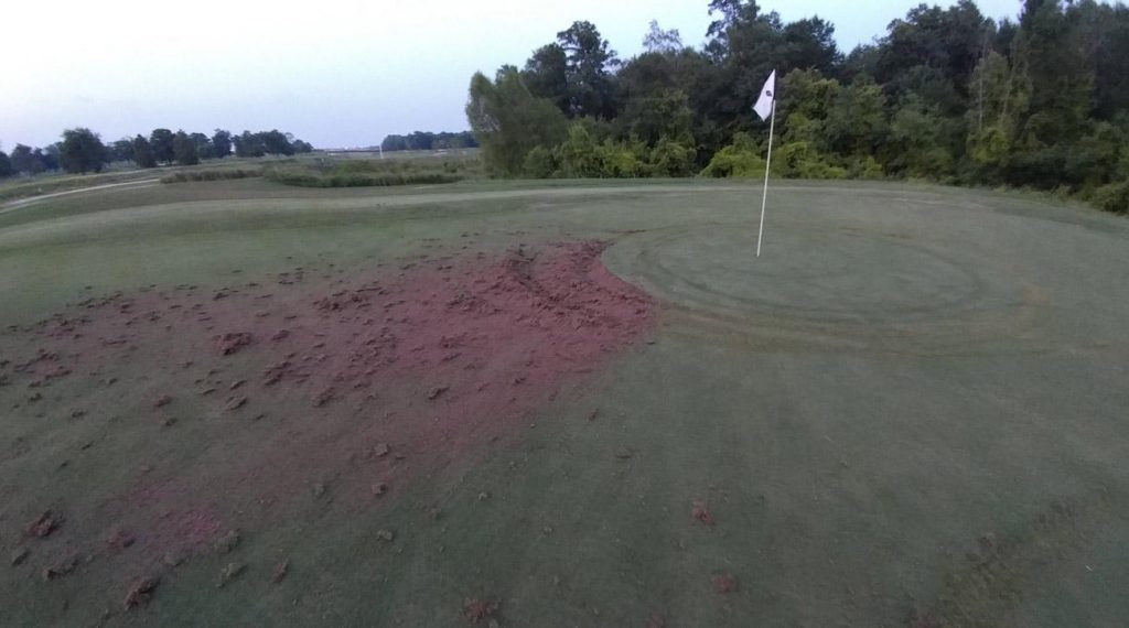 Vandalized course still has unknown status - Same Guy Golf